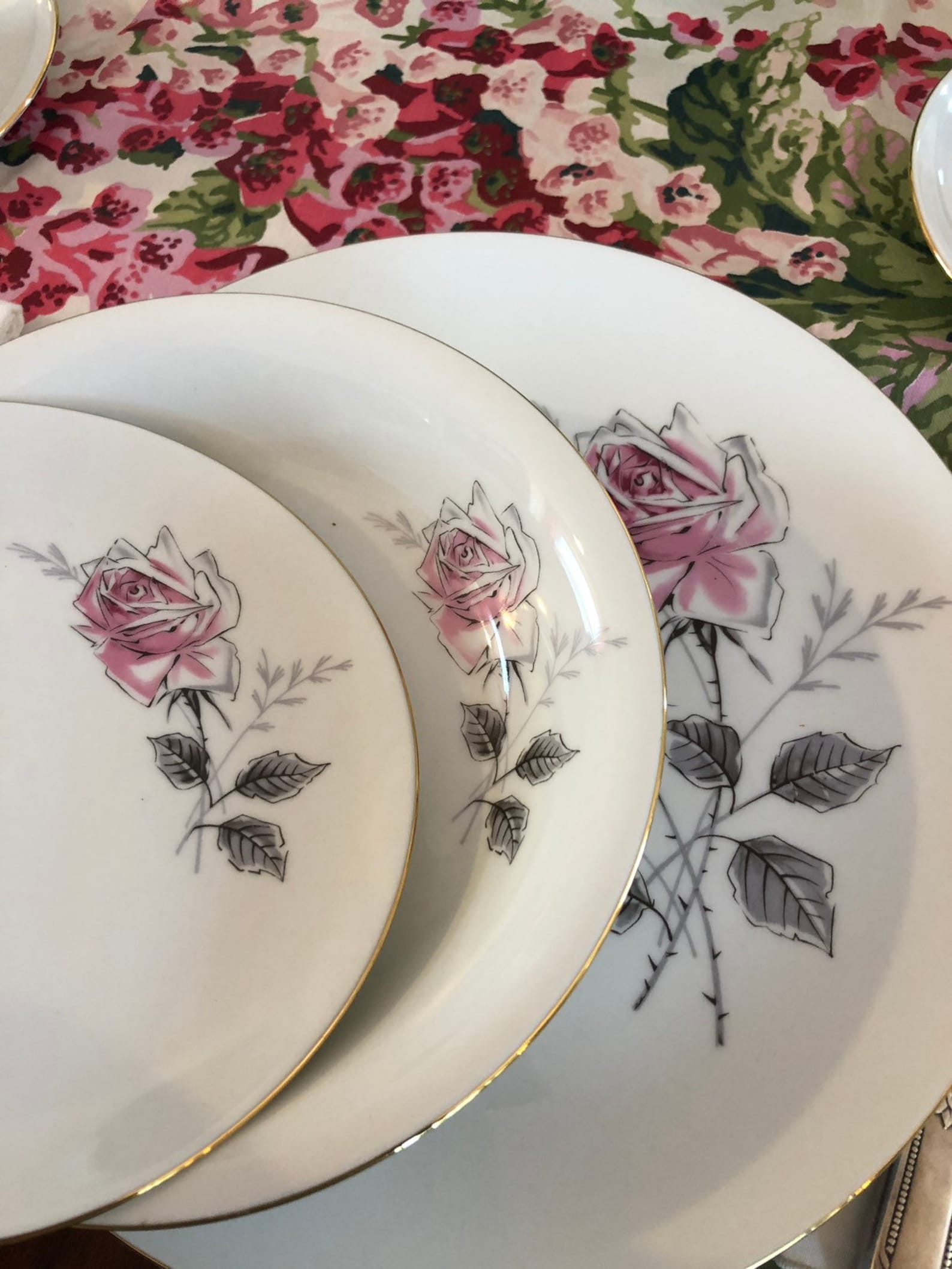 Vintage Fine China Set Bohemian China Setting for 8 People From Bohemia ...