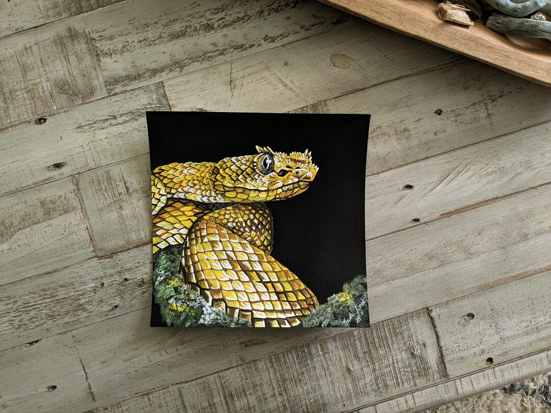 Original Art Painting of a Pit Viper Snake Reptile - Etsy