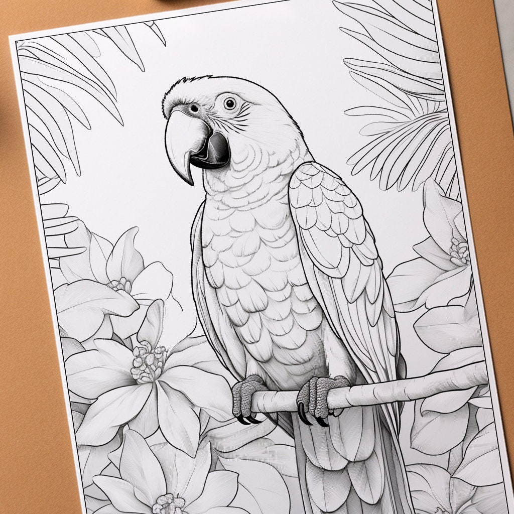 Parrots Coloring Pages