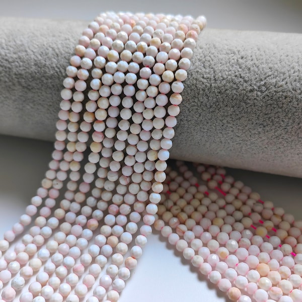 Conch Bead - Etsy