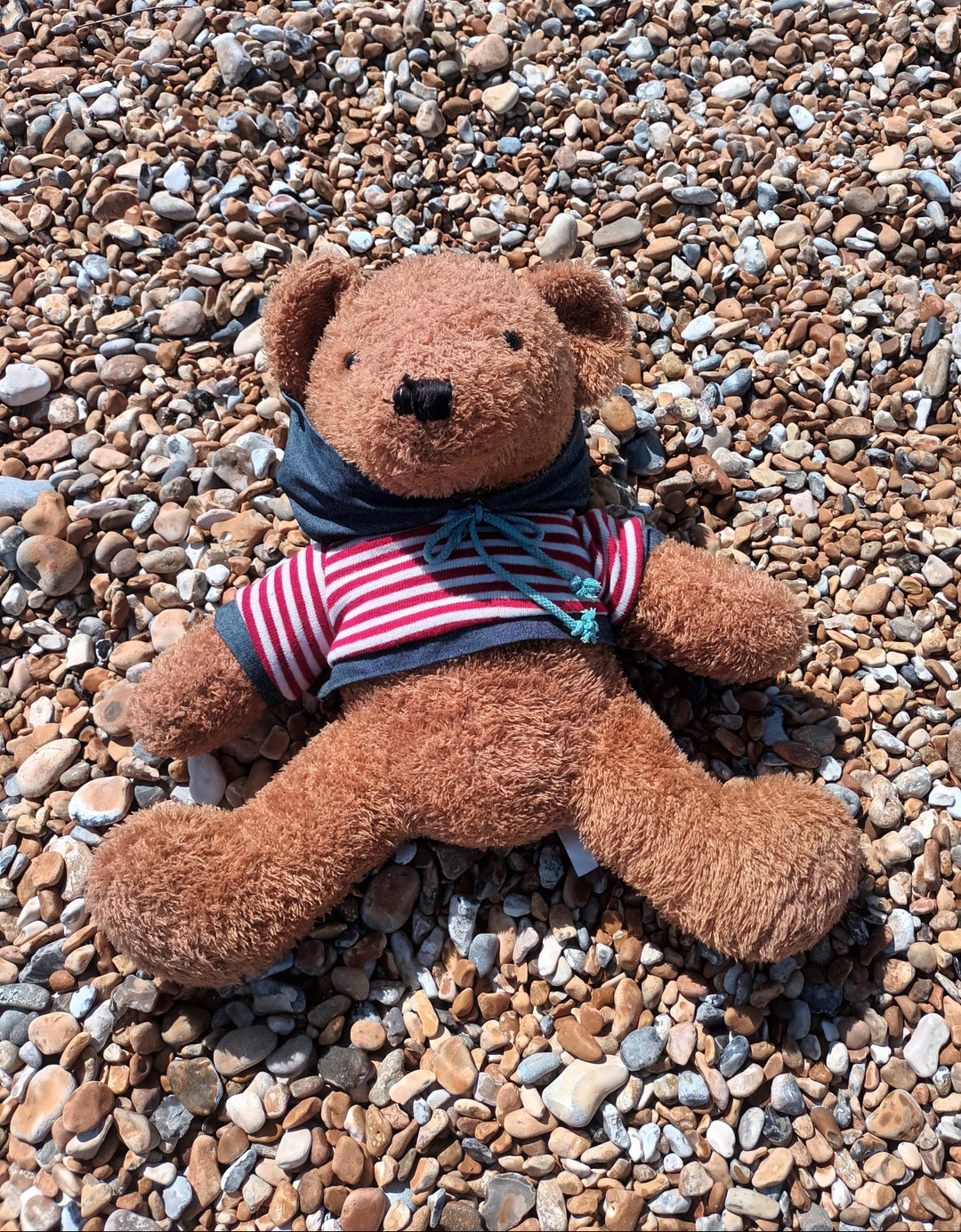 Teddy Bear at the Beach. Digital Photo - Etsy