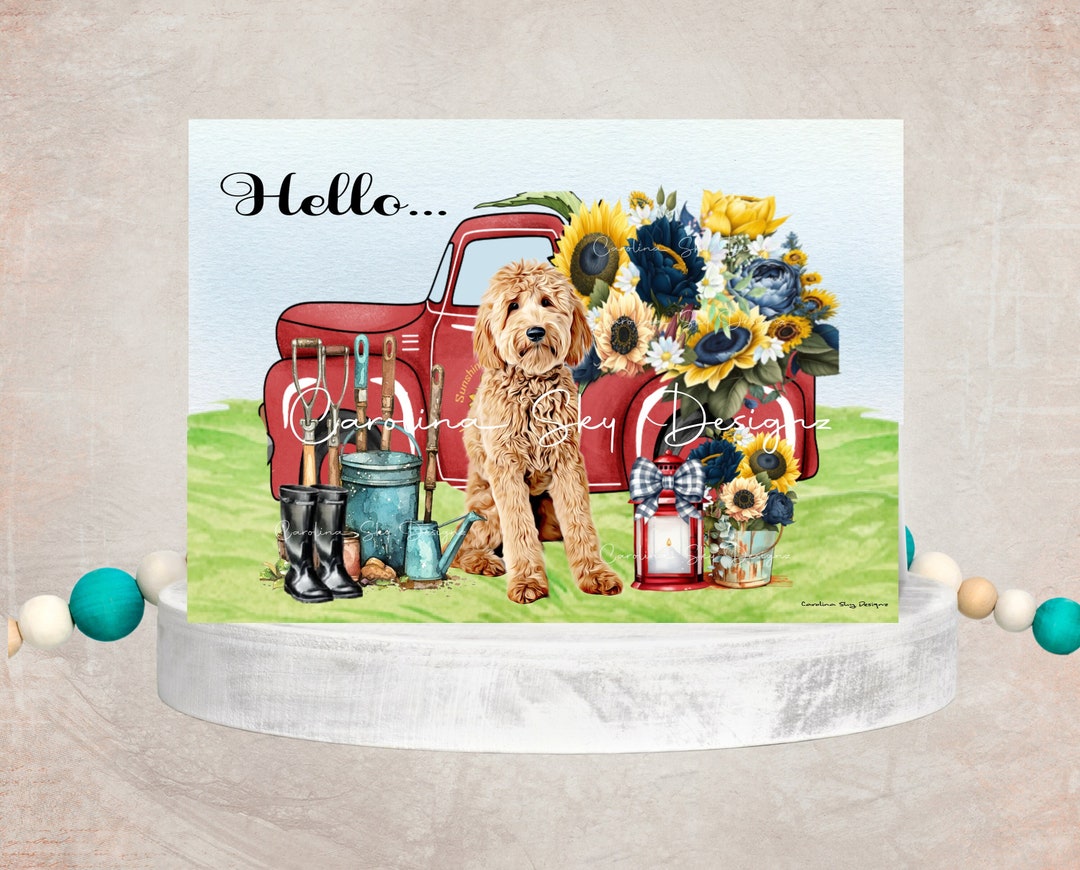 12 Goldendoodle Greeting Cards /envelopes 15 DOODLE CHOICES One of a ...