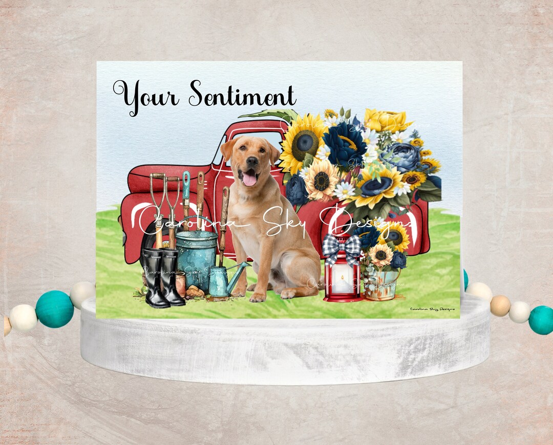 12 Labrador Retriever Card/envelopes 6 LAB CHOICES One of a Kind 12 ...