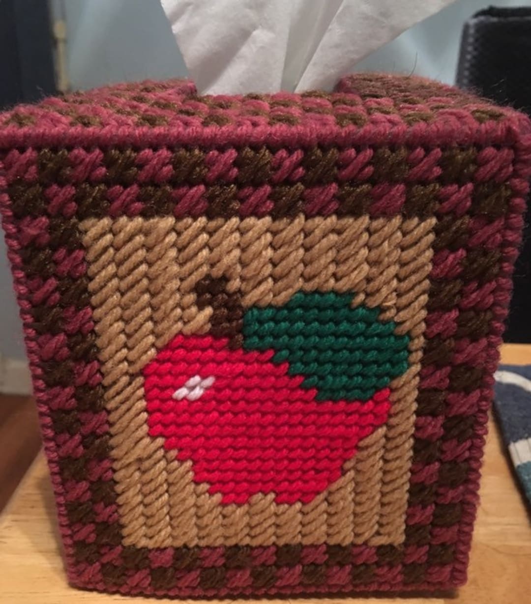 Handmade Apple Plastic Canvas Tissue Box Cover - Etsy