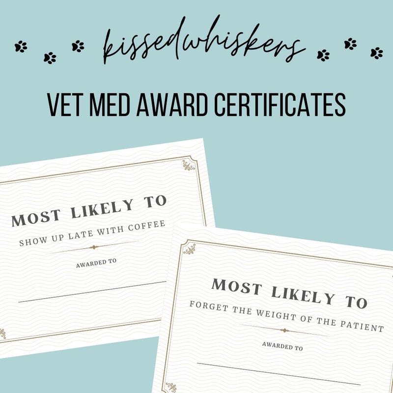 Vet Tech Christmas Game - Etsy