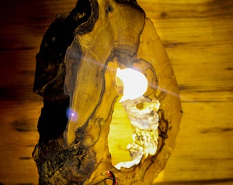 Small LED Log Light Table Lamp Desk Light Real Wooden Log