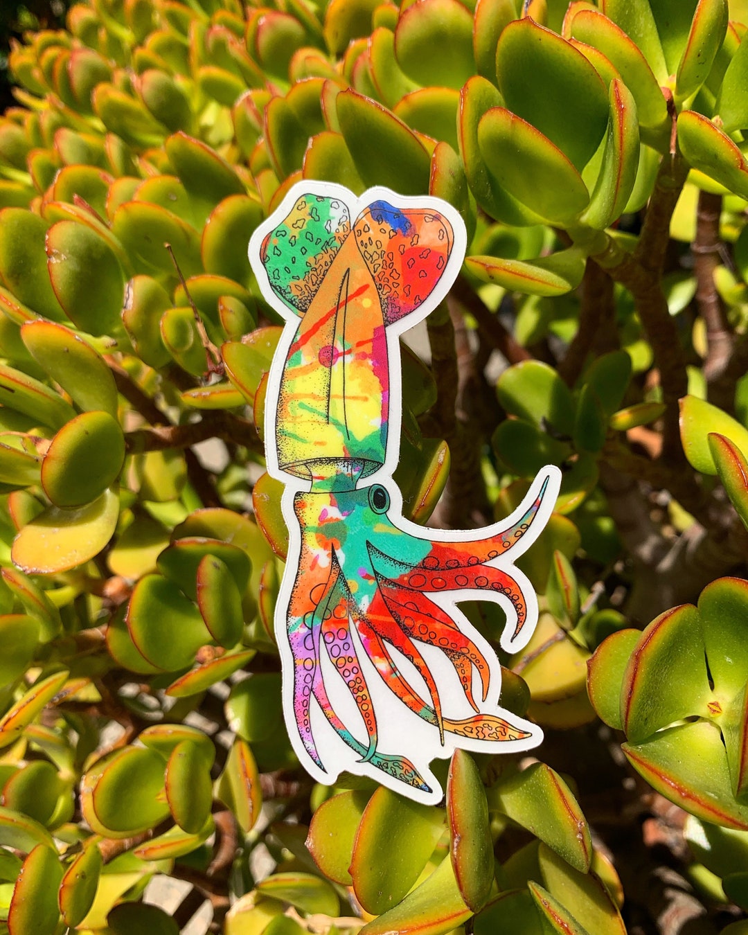 Rainbow Squid Vinyl Sticker - Etsy