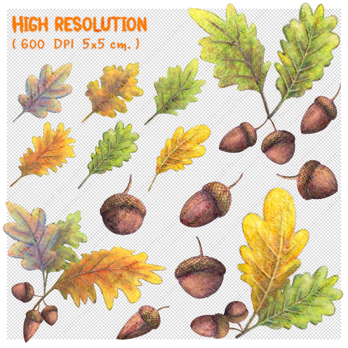 Acorn Clipart Set - Fall Clipart - Oak Leaves - Autumn Fall Leaves ...