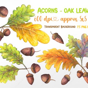 Acorn Clipart Set - Fall Clipart - Oak Leaves - Autumn Fall Leaves ...