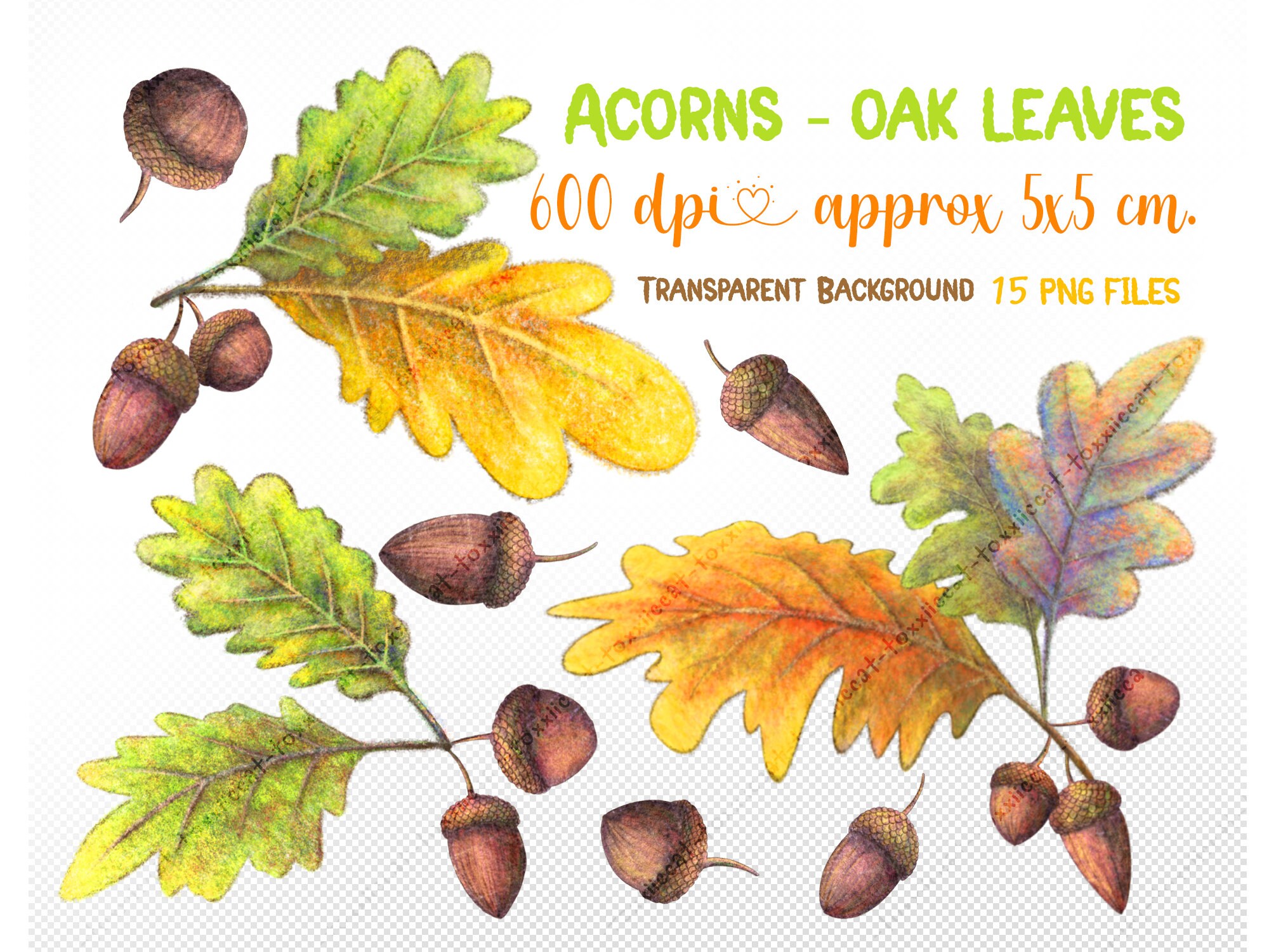 Acorn Clipart Set - Fall Clipart - Oak Leaves - Autumn Fall Leaves ...