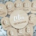 Baby Milestone Personalized Wood Disc Acrylic Custom Milestone Marker ...