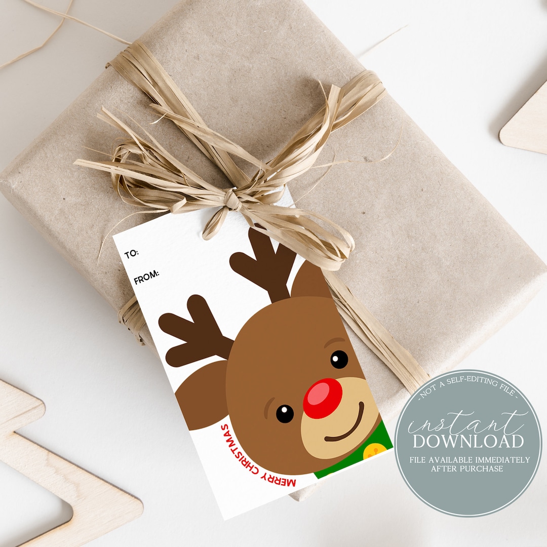 Printable Snowman Christmas Gift Tags Printable Reindeer Holiday Gift ...
