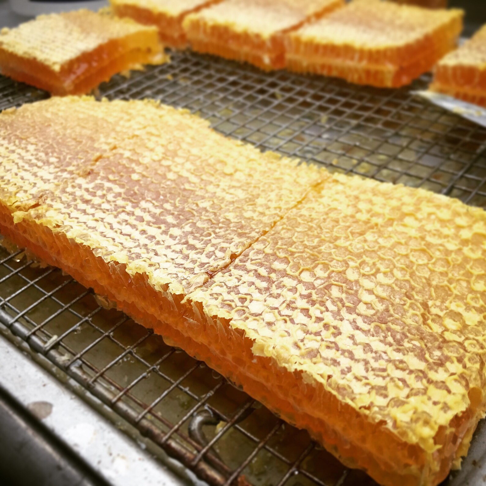 Honeycomb. Raw Natural Wildflower Honey Comb - Etsy