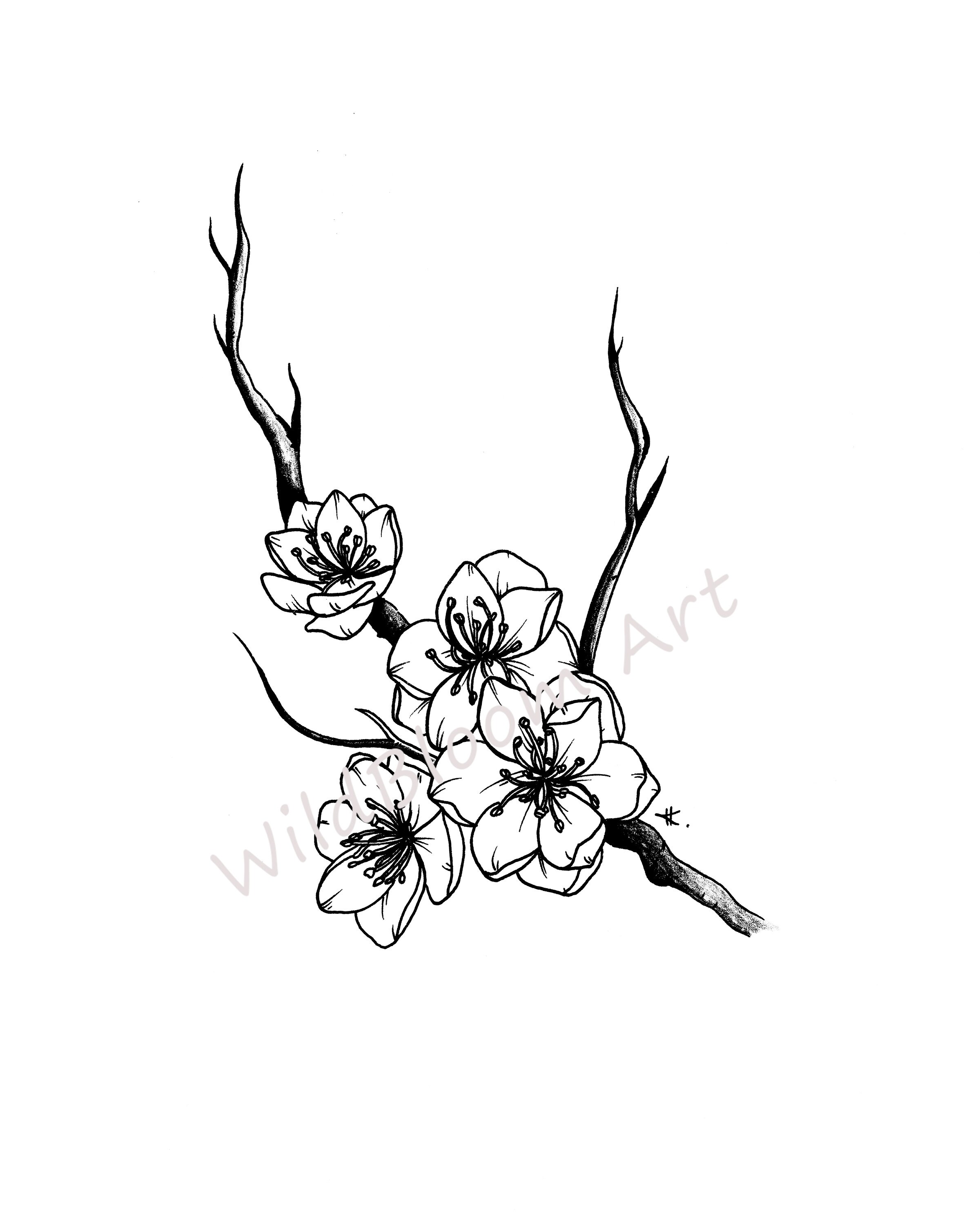 Cherry Blossom Drawing, Digital Download, Spring Art, Botanical ...