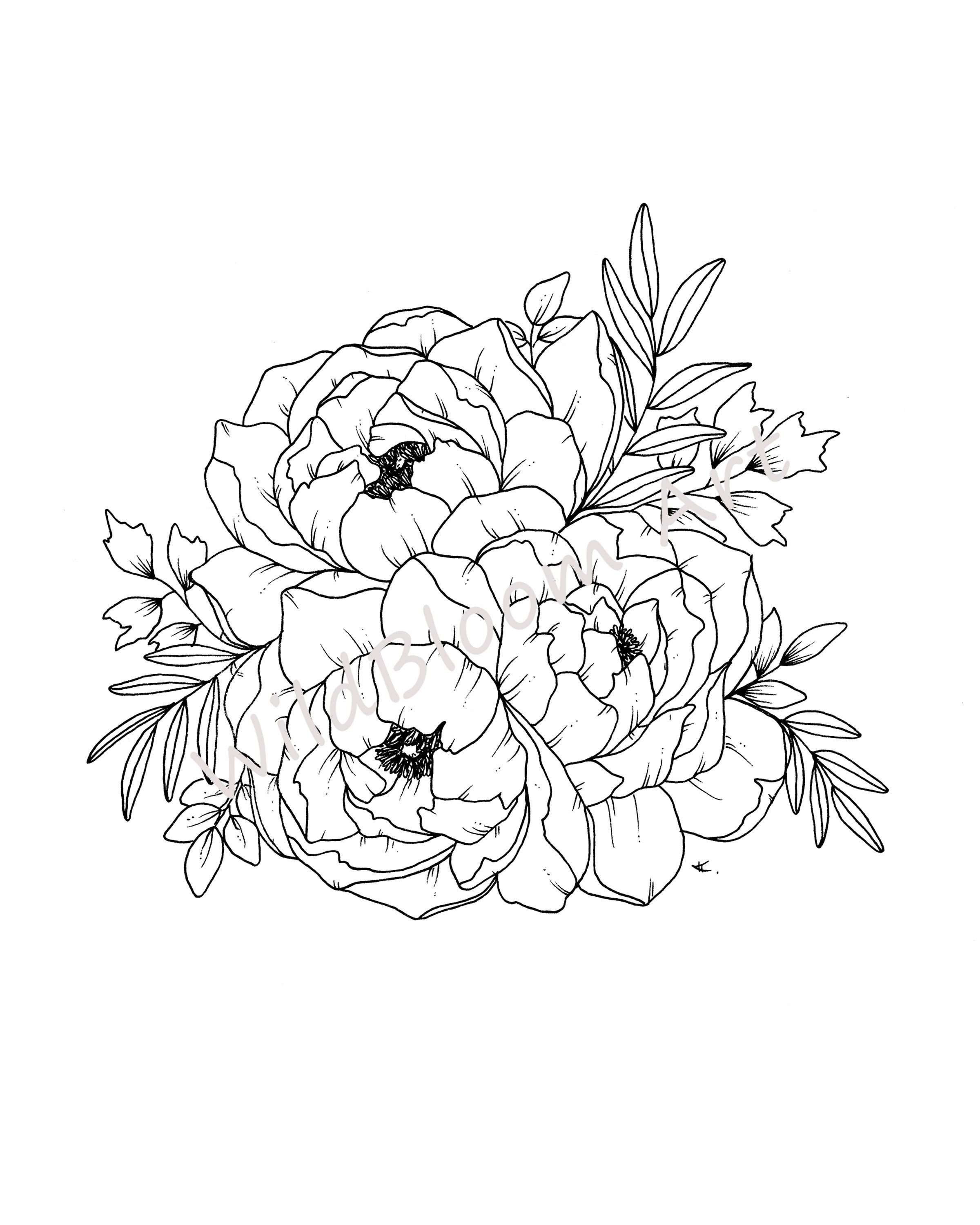 Peonies Bouquet Line Drawing, Digital Download, Flower Drawing, Pen and ...