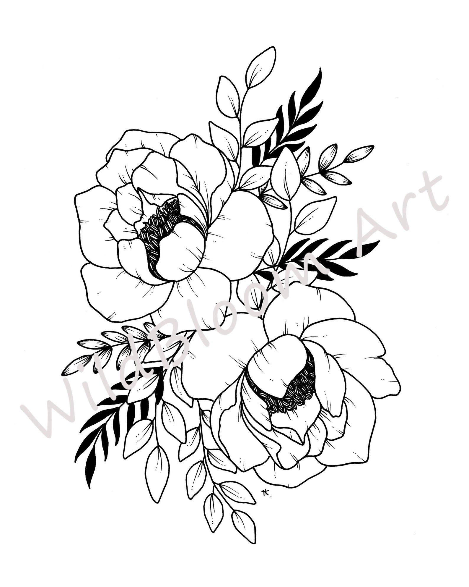 Vintage Peonies Line Drawing, Hand Drawn Florals, Botanical Print,black ...
