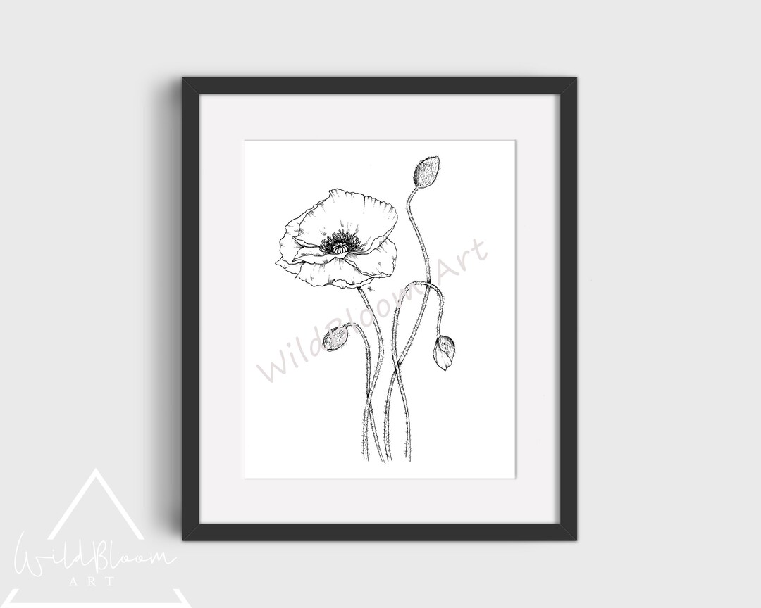 Poppy Line Drawing, Digital Download, Botanical Illustration, Botanical ...