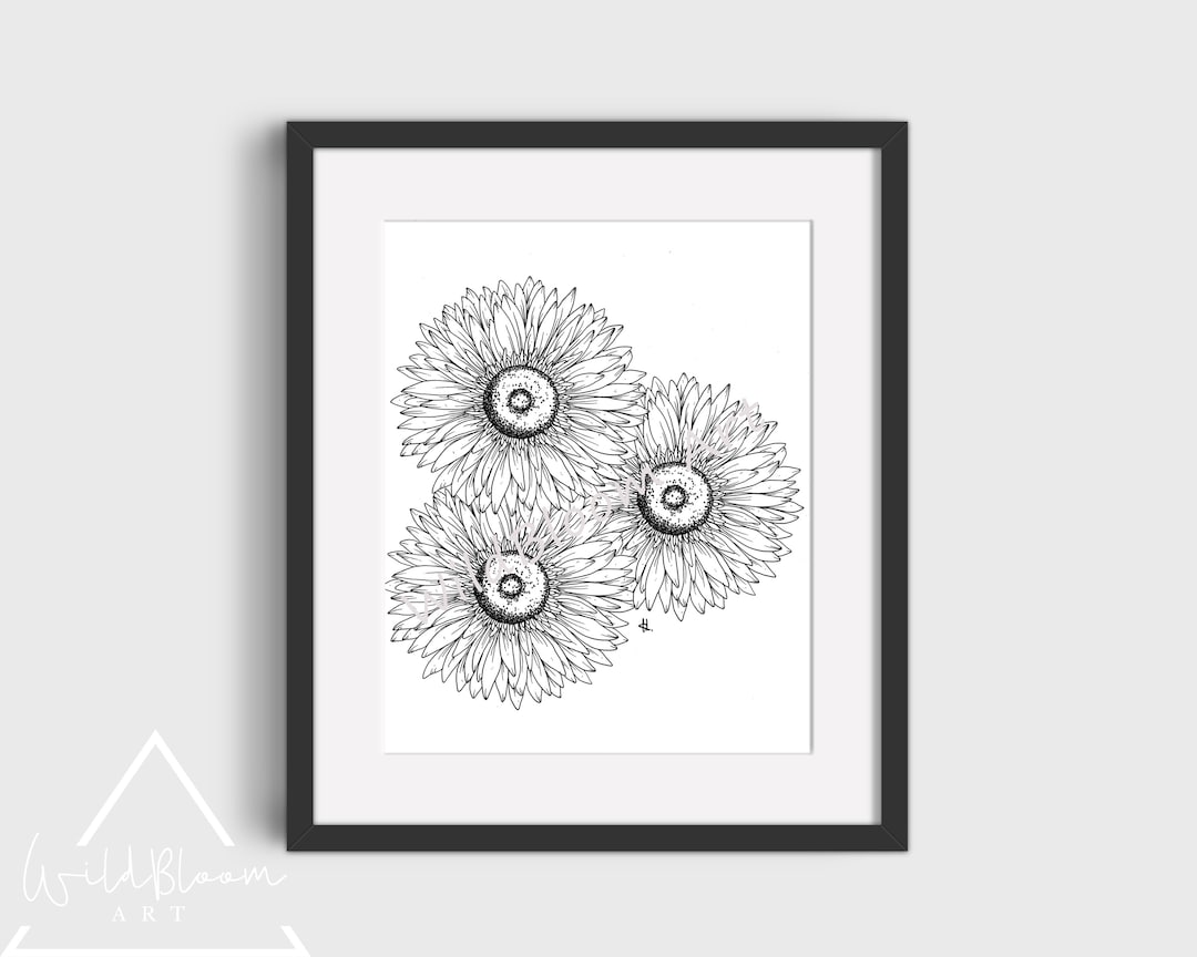Gerberas Line Drawing, Printable Art, Botanical Illustration, Botanical ...