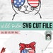 July 4th Cat SVG, Fourth of July Cat Svg File, Cat Glasses Svg, July ...