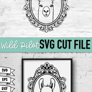 Llama Frame SVG, Llama Svg, Funny Llama Svg File, Llama Clipart, Llama ...