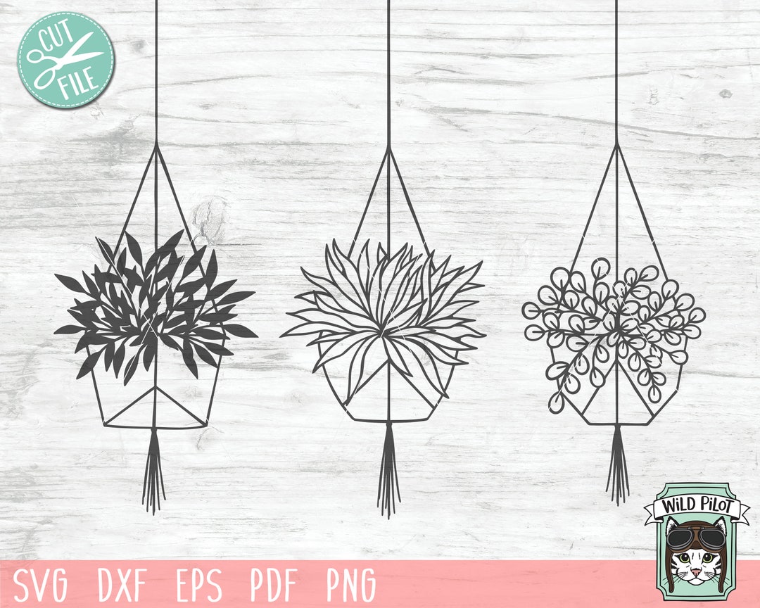Hanging Plant SVG File, Potted Plants Svg File, Plant Cut File ...