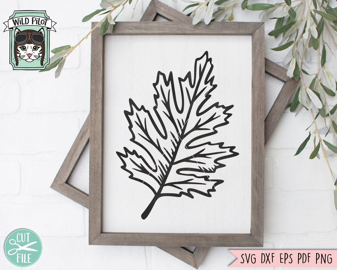 Autumn Bundle SVG, Fall Leaves SVG, Pumpkin SVG, Autumn Svg, Fall Leaf ...