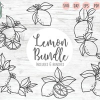 CITRUS LEMON FRUIT Svg, Citrus Lemon Slice Svg Files for Cricut, Citrus ...