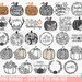 Fall SVG File Bundle, Autumn Svg Bundle, Thanksgiving Svg Bundle ...