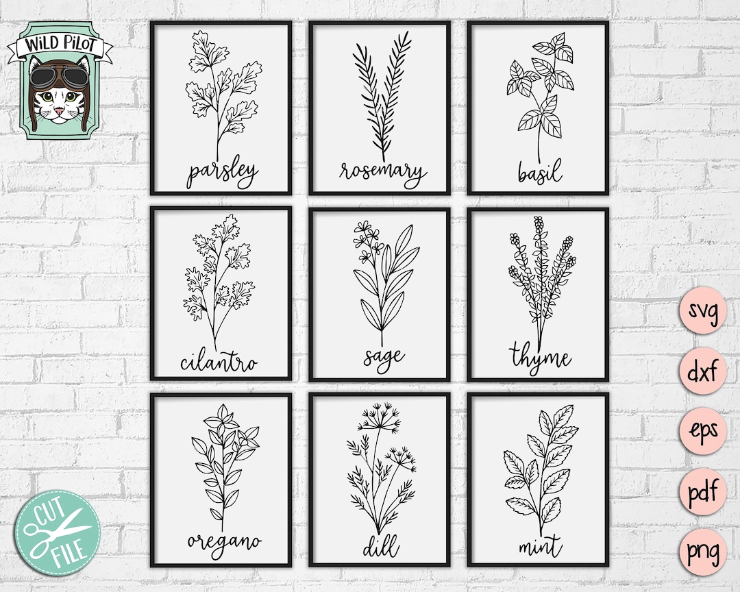 Herbs SVG, Herb Cut Files, Garden Svg, Leaf Cut File, Plant Cut File ...