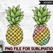 Pineapple SUBLIMATION Designs Png, Rainbow Pineapple Sublimation Png ...