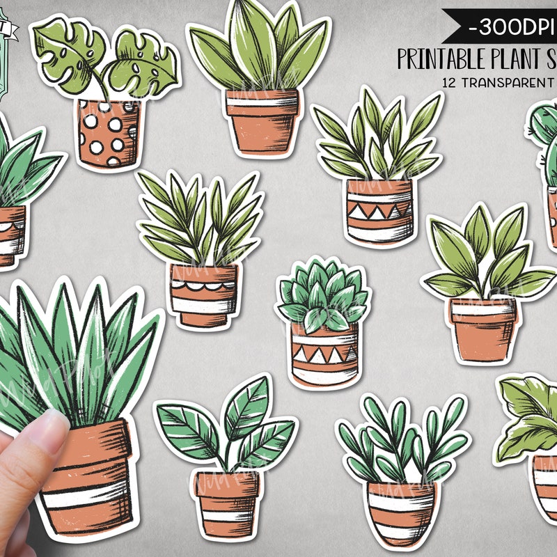 Plant Wall Stickers - Etsy