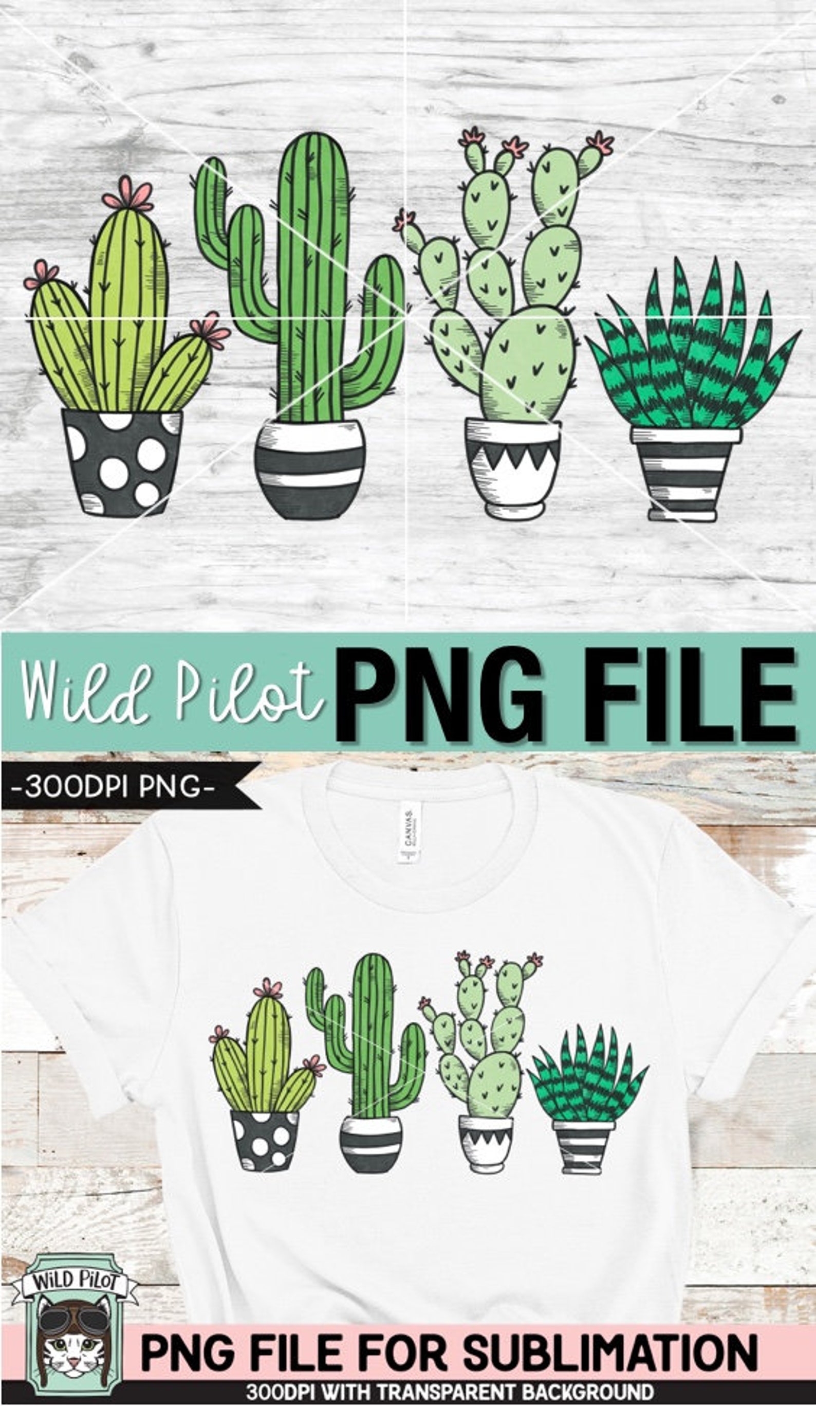 Cactus SUBLIMATION Design PNG Succulent PNG Sublimation File - Etsy