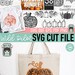 Fall SVG File Bundle Autumn Svg Bundle Thanksgiving Svg - Etsy