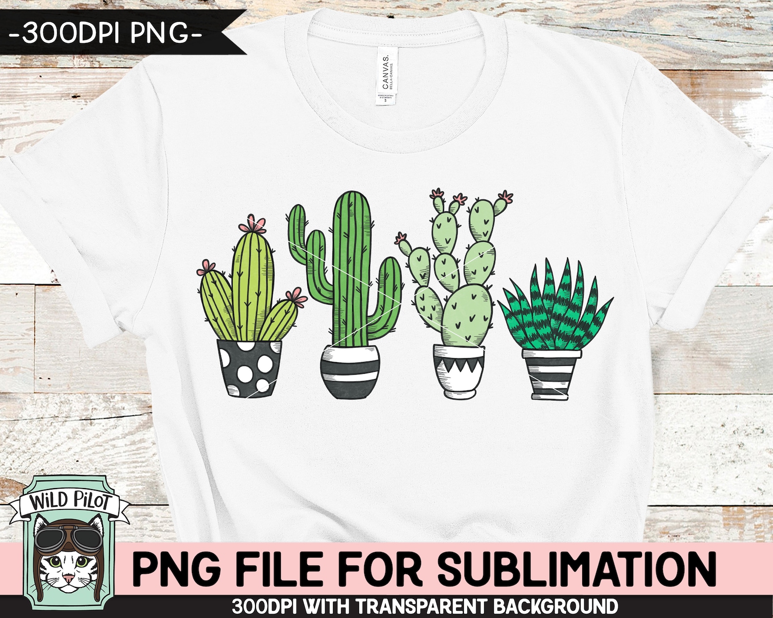 Cactus SUBLIMATION Design PNG Succulent PNG Sublimation File - Etsy