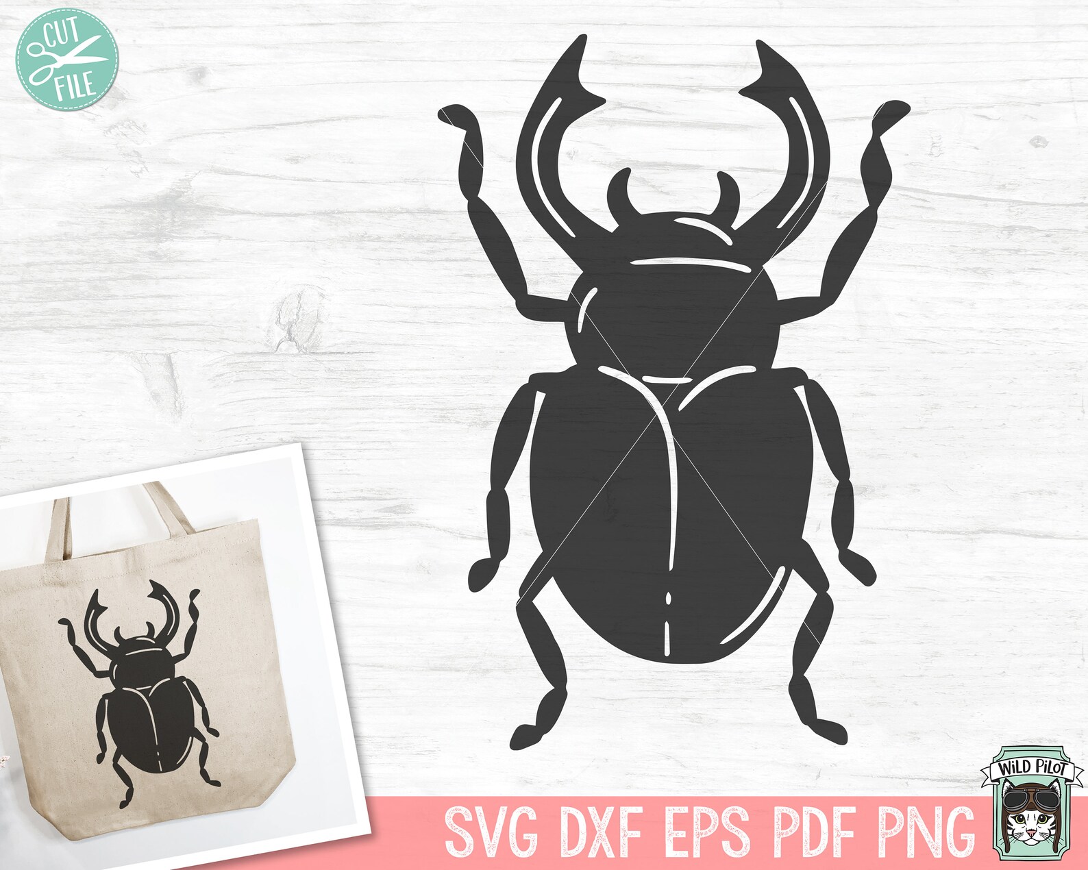 Beetle SVG, Insect Svg, Animal Svg, Animal Png, Beetle Clipart, Beetle ...