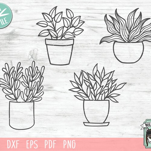 PLANTS in SVG Potted Plants House Plants Flower Pot | Etsy