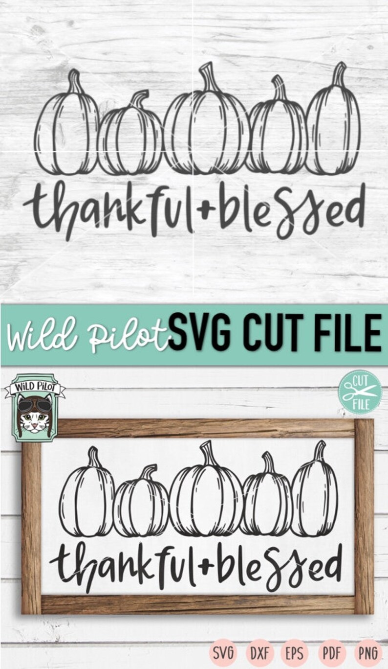 Thankful and Blessed SVG Pumpkin SVG Row of Pumpkins SVG Cut - Etsy