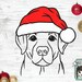 Dog Santa Hat Svg File, Dog With Hat Svg, Christmas Svg File, Labrador ...