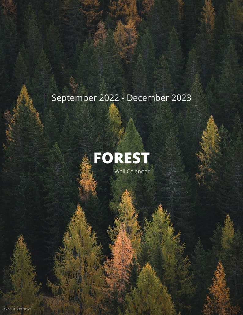 2023 Printable Calendar Forest Nature | Monthly, Digital, PDF - Etsy