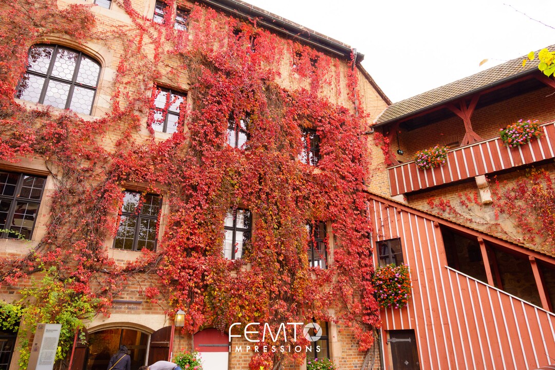NEW Red Medieval Castle in Autumn. Timeless. Germany Architecture ...