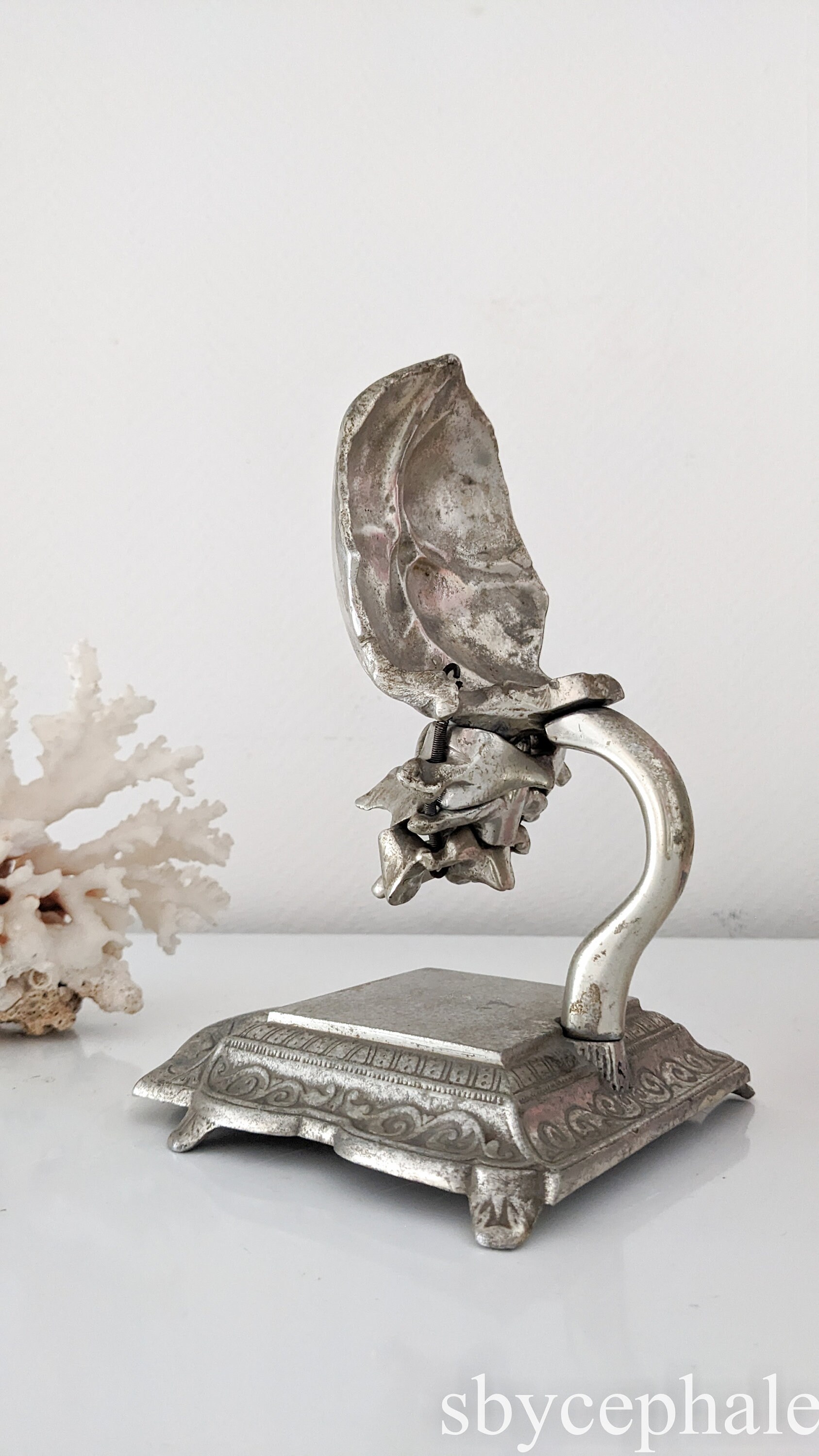 French Antique Metal Anatomical Model Skull Cervical Vertebrae Spine ...