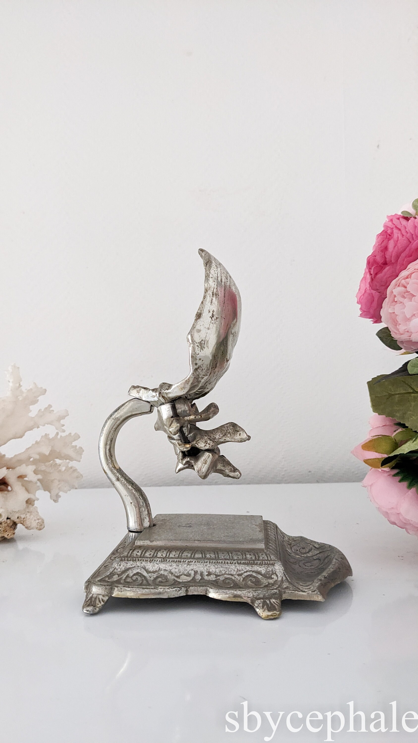 French Antique Metal Anatomical Model Skull Cervical Vertebrae Spine ...