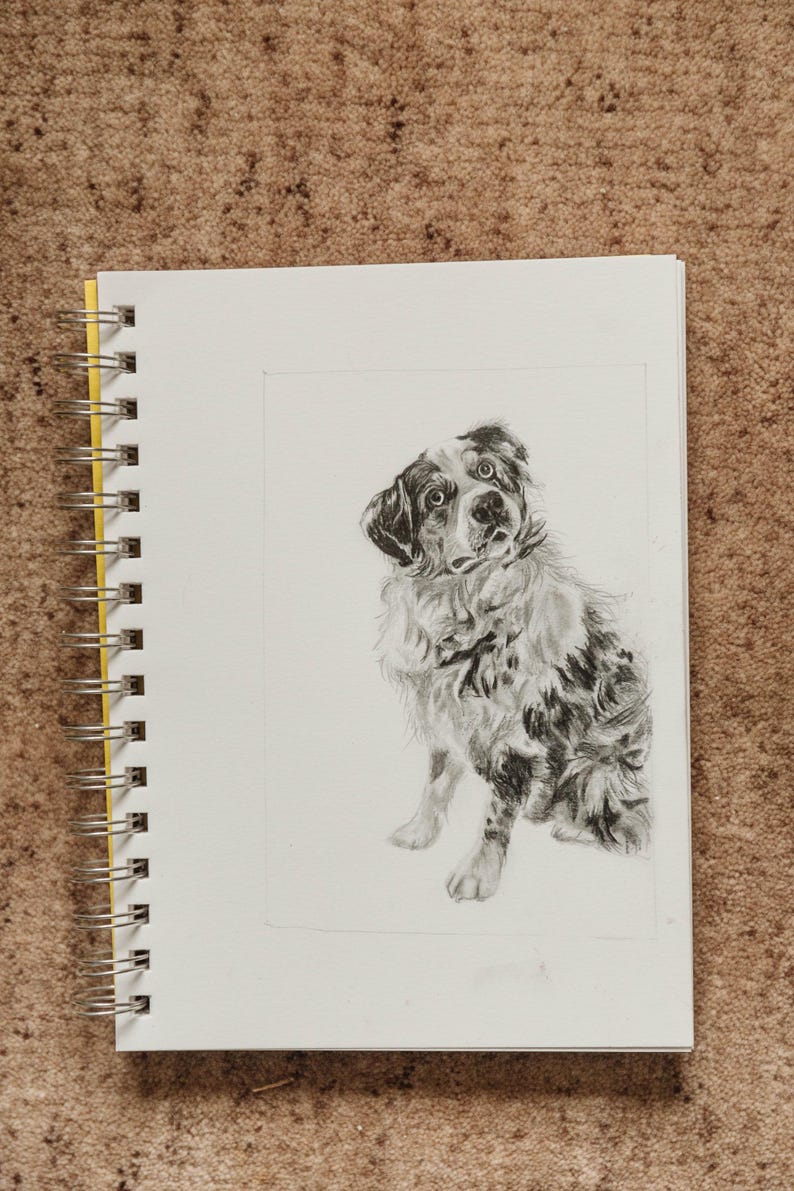 Custom Graphite Pet Portrait, Original 4x6 Drawing (digital Print ...