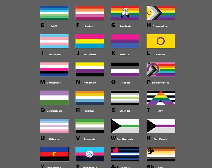 LGBTQIA | Pride Flag Tiles | 2x4 Tile Pride Flags | LGBTQ+ | Diversity ...
