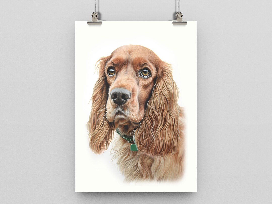 Cocker Spaniel - Wall Art - Animal - Dog Print - Colour Pencil Sketch ...