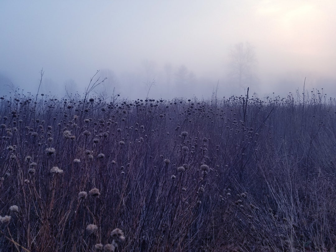 Blue Prairie in Fog - Etsy