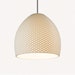 Ceiling Light - White - Modern - Hive- Contemporary [hivedome] Made ...