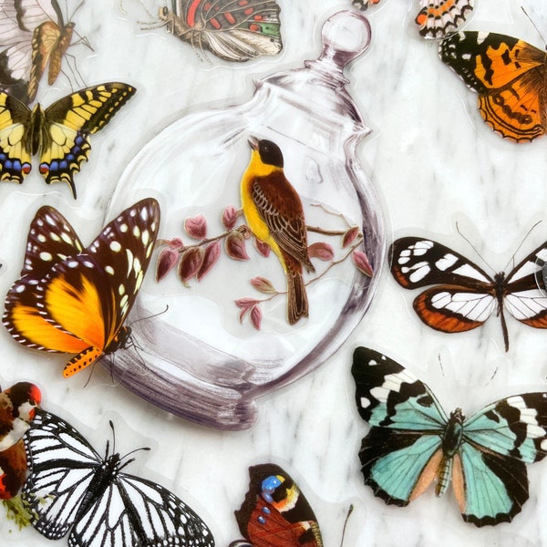 Realistic Insect Stickers - Etsy