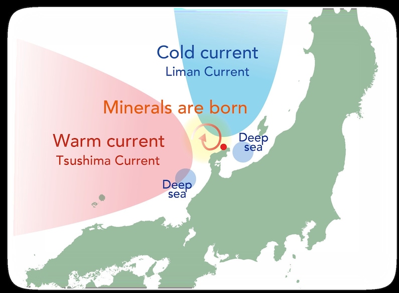 Japanese Noto Suzu Seaweed-salt Noto Suzu City Seaweed Salt (100g) - Etsy