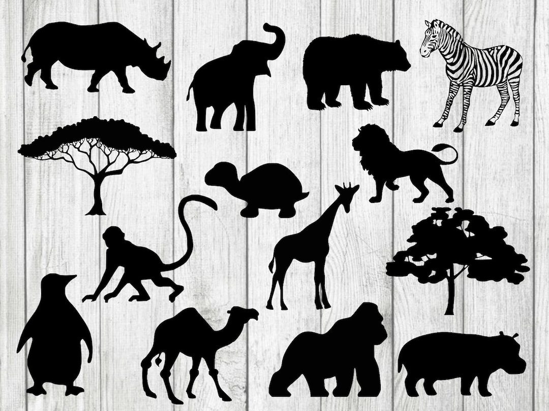 Zoo Animals Svg Bundle, Zoo Animals Clipart, Zoo Svg, Animals Svg, Cut ...